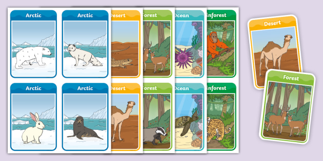 Animal Habitats | twinkl.co.uk