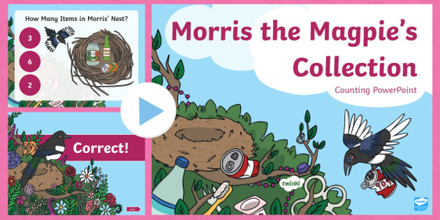 Morris the Magpie's Collection Counting PowerPoint
