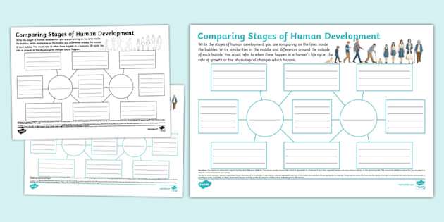 Human Development Stages | twinkl.co.uk
