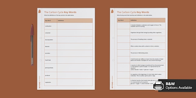 Carbon Cycles | twinkl.co.uk