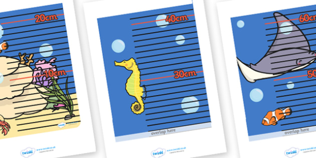 👉 Under The Sea Themed Height Chart (teacher made)