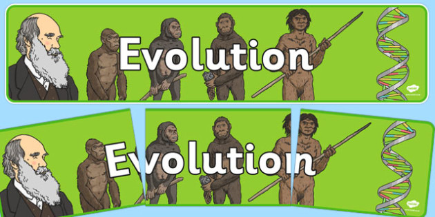 Evolution Display Banner NZ (teacher made)