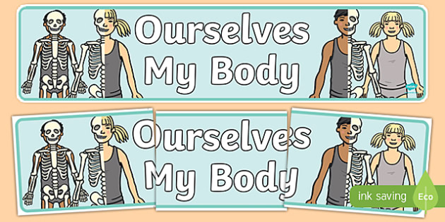 Ourselves: My Body Display Banner (teacher made)