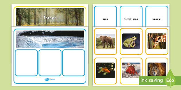 Animal Habitats Matching Cards