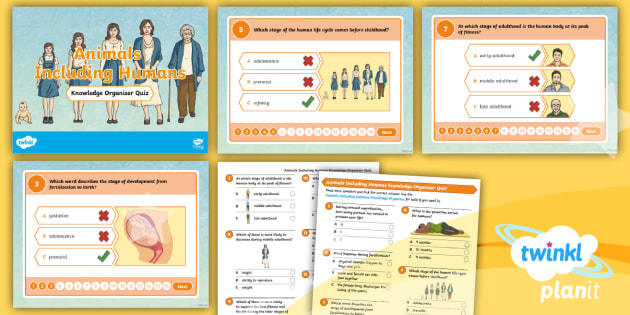 Animals Including Humans: Y5: Knowledge Organiser Quiz Pack