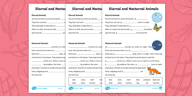 Diurnal and Nocturnal Animals Fill in the Blanks Cloze Activity