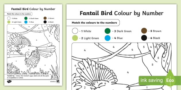 FREE! - Fantail Bird Colour by Number (teacher made)