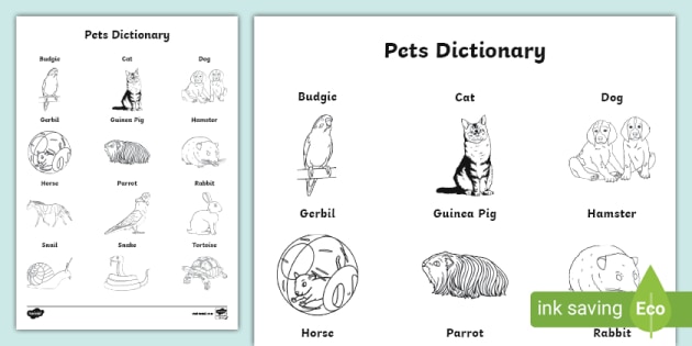 Pets Dictionary Colouring Sheet (teacher made)