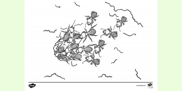 FREE! - Termites on Termite Mound Colouring Sheet