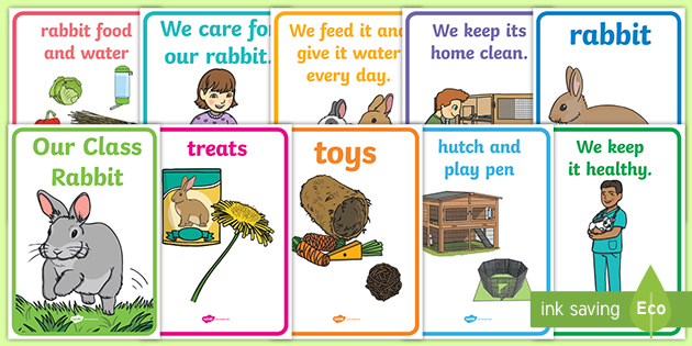 Our Class Rabbit Display Posters (teacher made)