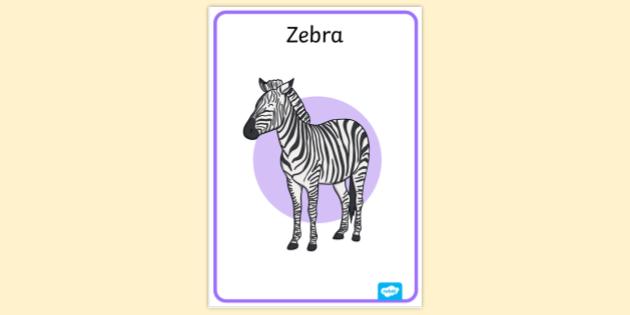 FREE! - Zebra Poster | Display Posters | Primary Resources