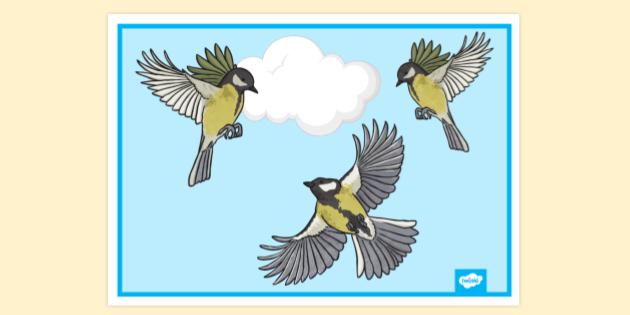 Display Poster of Flying Birds | Primary Resources