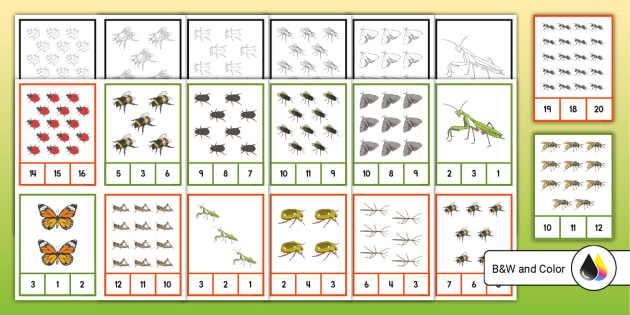 Insects and Bugs Counting to 20 Clip Cards (teacher made)