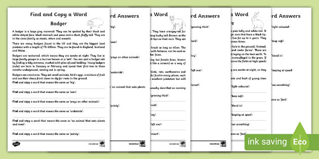 KS1 Find and Copy Word Worksheets (teacher made)