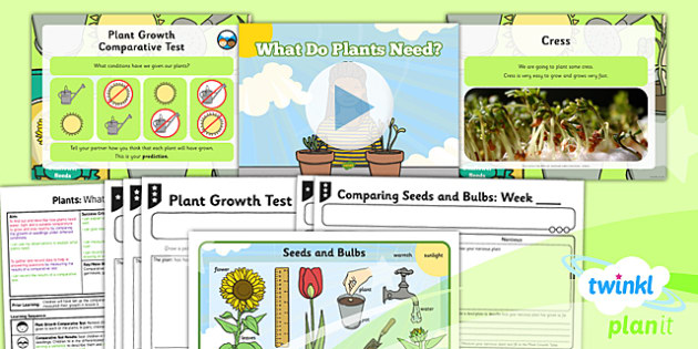Science: Plants: What Do Plants Need Year 2 Lesson Pack 4