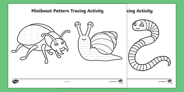 Minibeasts Pattern Tracing Activity