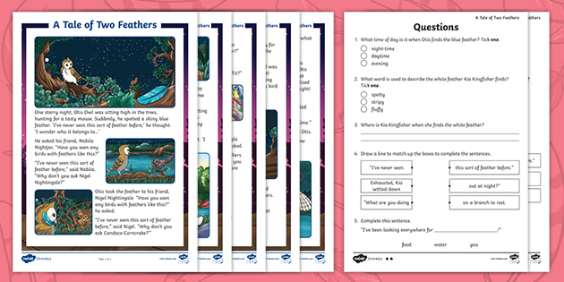 Year 2 A Tale of Two Feathers Differentiated Reading Comprehension Activity