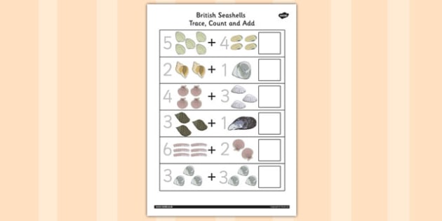 British Seashell Trace, Count Add Worksheet - british seashell