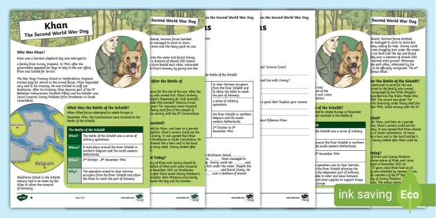 Khan the Second World War Dog Reading Comprehension