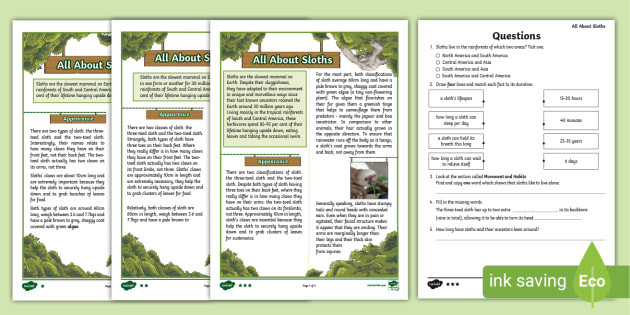 UKS2 All About Sloths Reading Comprehension Activity