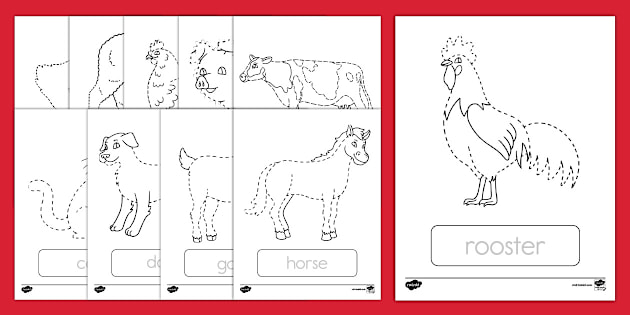 Trace And Color The Animals Worksheet Woo Jr Kids
