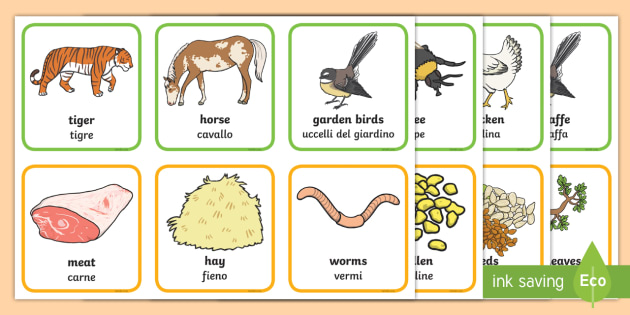 Animals and What They Eat Matching Cards English/Italian - Animals and What