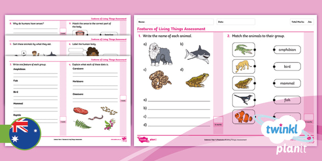 Year 1 Science Features of Living Things Assessment