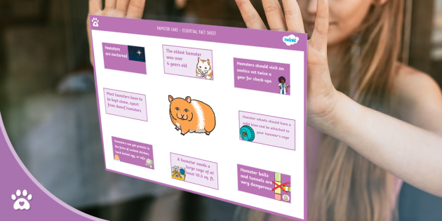 Animals Fact Sheet • Twinkl.com.au