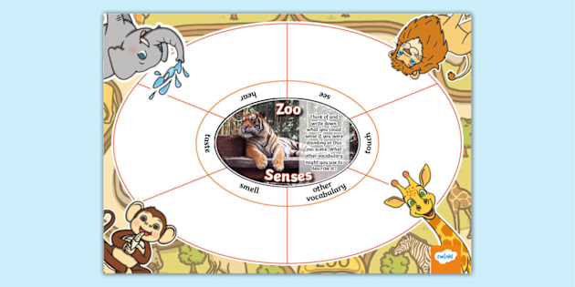 Zoo Activities | twinkl.co.uk