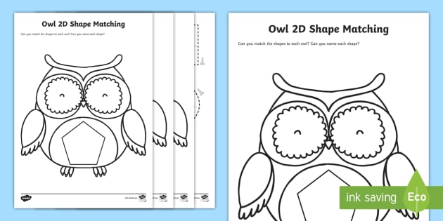 Owl 2D Shape Matching Activity (teacher made)
