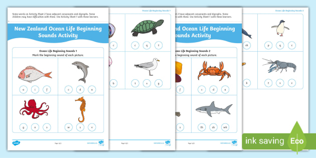 New Zealand Ocean Life Beginning Sounds Activity
