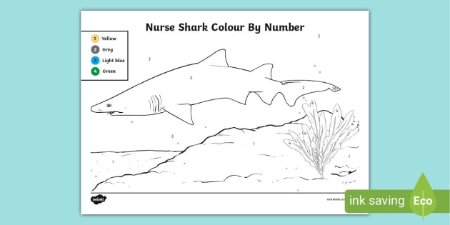 FREE! - Nurse Shark Colour By Number (teacher made)