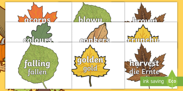Autumn Topic Words on Leaves English/German (teacher made)