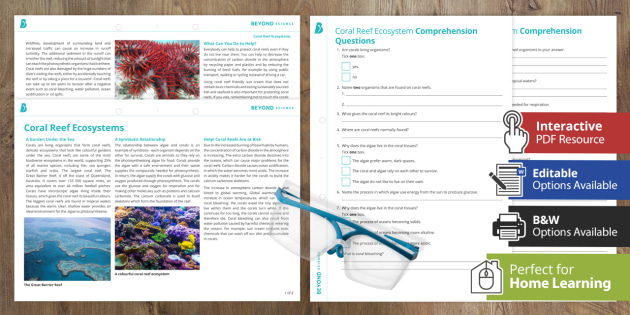 Coral Reef Ecosystems Reading Comprehension | Beyond