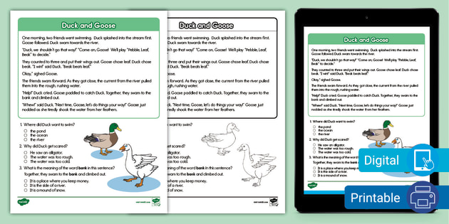 Second Grade Duck and Goose Reading Passage Comprehension Activity