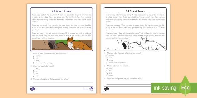 Second Grade All About Foxes Reading Passage Comprehension Activity