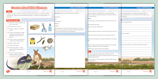 Food Webs | twinkl.com.au