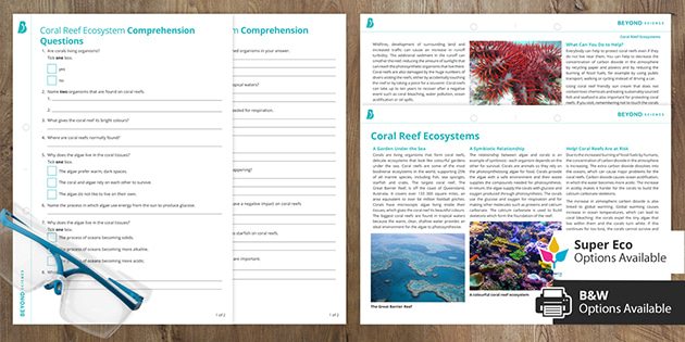 FREE! - Coral Reef Ecosystems Reading Comprehension | Beyond
