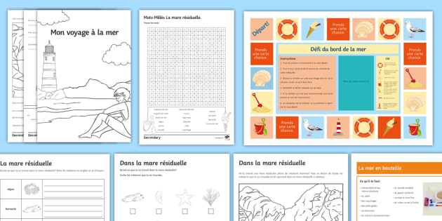 Summer Fun in the Holidays Activity Pack French