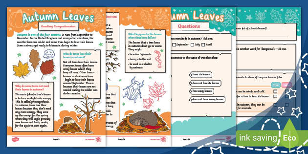 Year 1 Reading Comprehension Parent Guide and Activity Ideas - Twinkl ...
