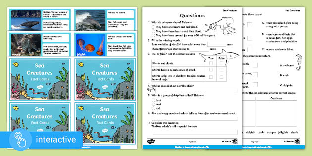 Interactive PDF: KS1 Underwater Animals Fact Cards and Comprehension ...