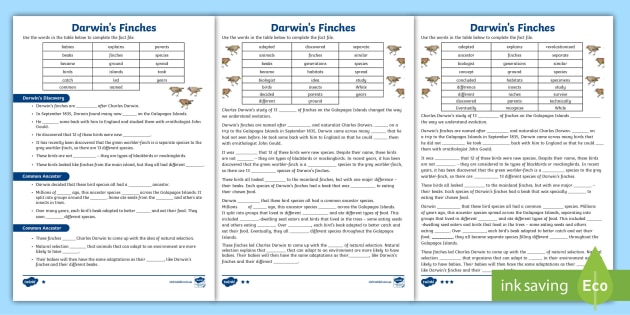Darwin's Finches Differentiated Cloze Activity Sheets