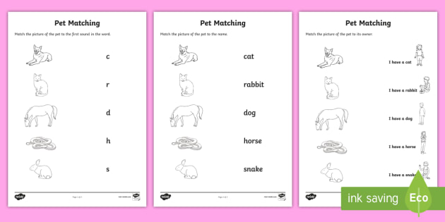Pet Differentiated Word and Picture Matching Worksheet