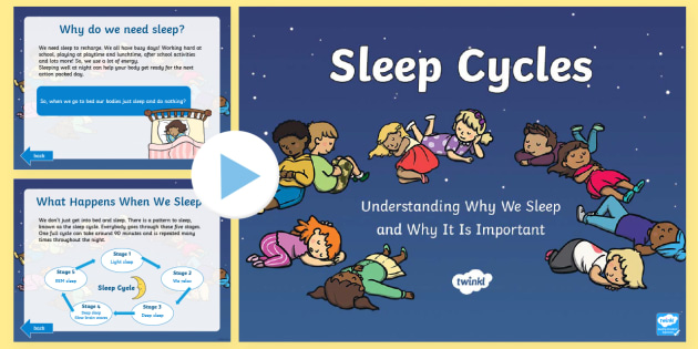 CfE First Level Sleep Cycles PowerPoint (teacher made)