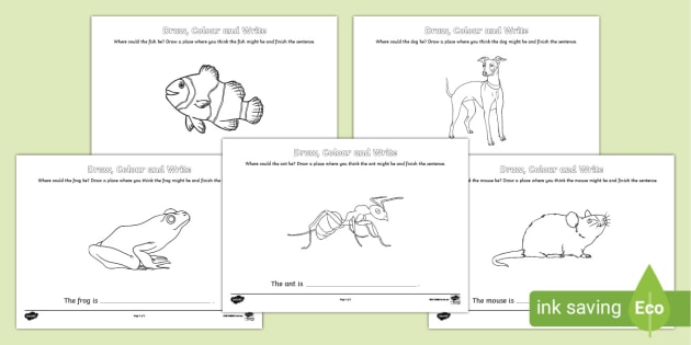 Draw, Colour and Write Activities for Early Years students