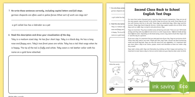 Back to School Second Class English Test (teacher made)