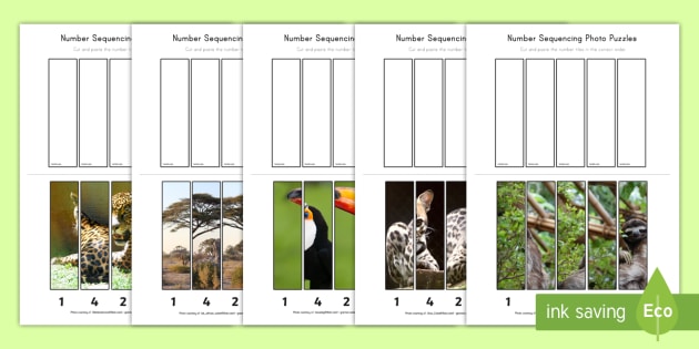 Rainforest Photos 1-5 Number Sequencing Puzzles - Cut and Paste