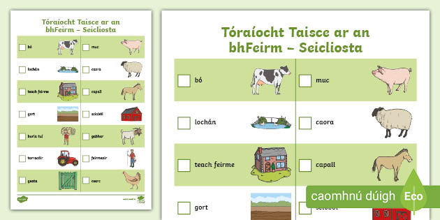 The Farm Aistear Hunt Checklist Gaeilge (teacher made)
