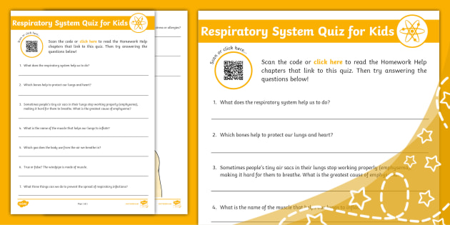 Respiratory System Quiz for Kids