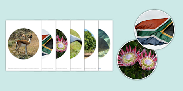 National Symbols Of South Africa National Symbols Of South Africa,